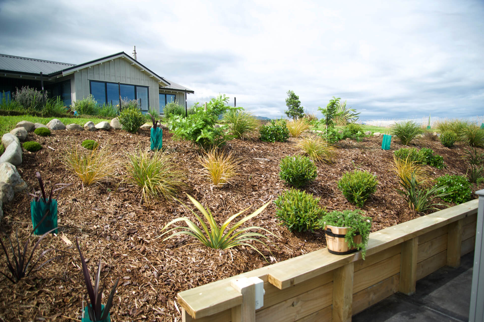 About - Vitex Landscaping - Landscape Gardeners Kapiti Coast