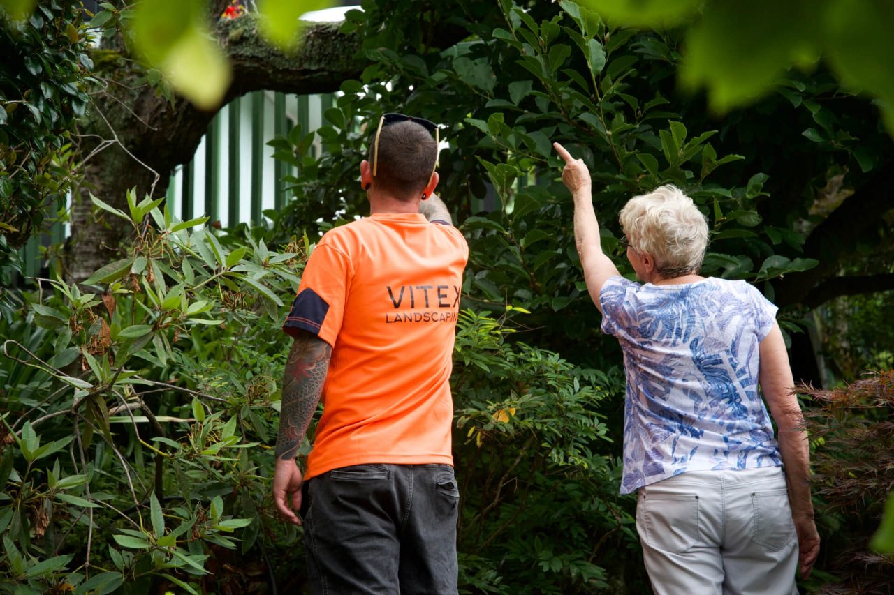 About - Vitex Landscaping - Landscape Gardeners Kapiti Coast